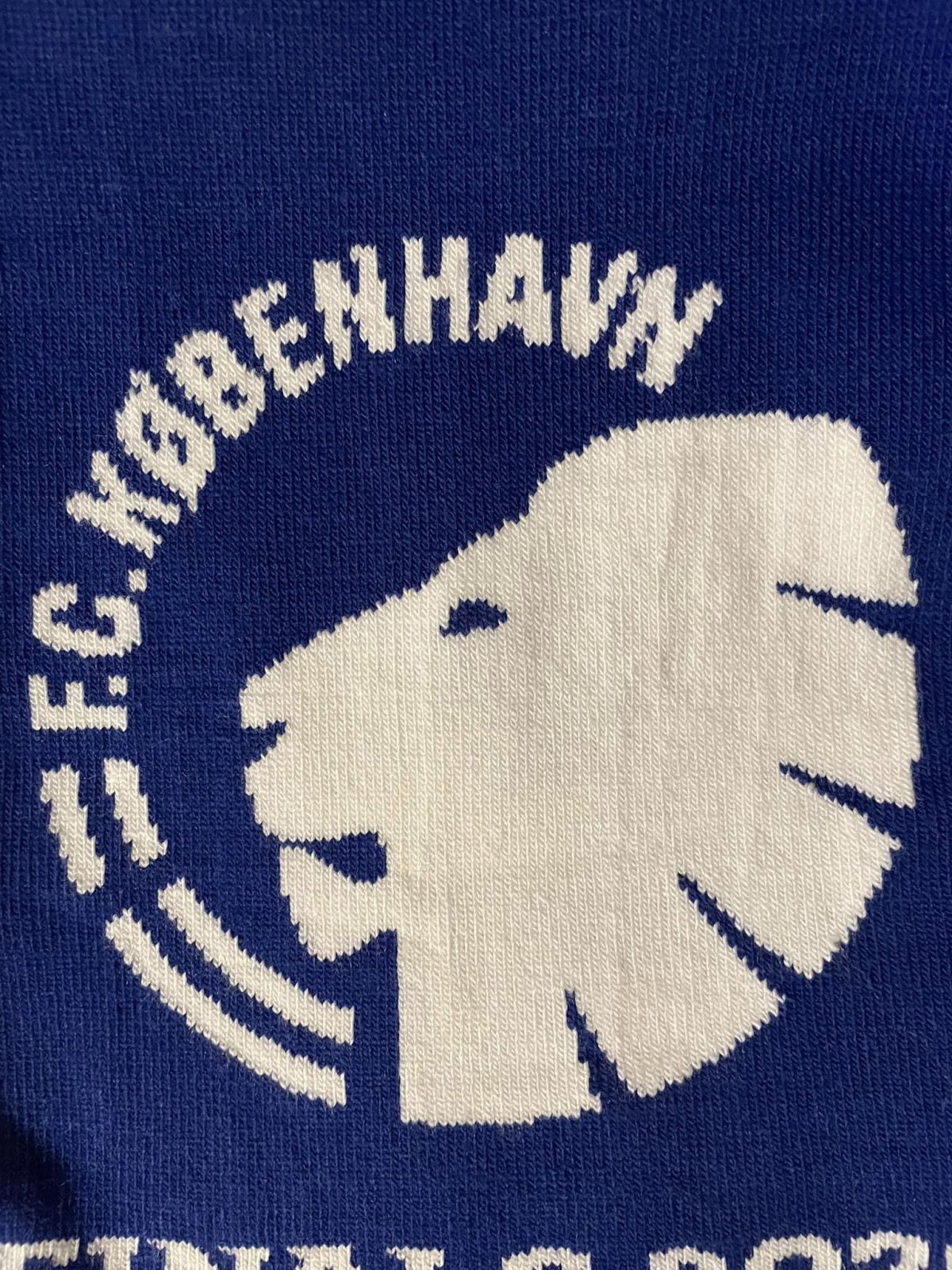 F.C. København